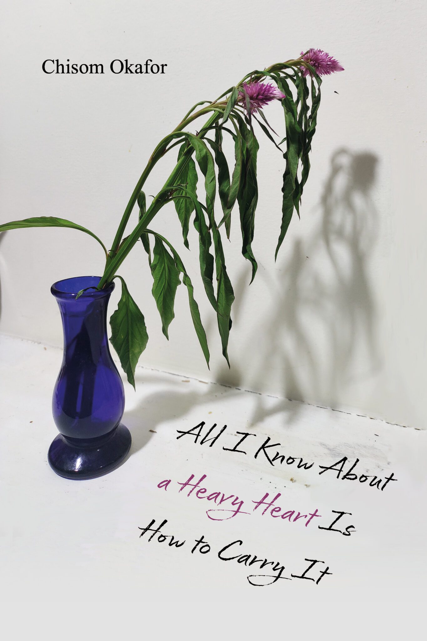 All I Know About a Heavy Heart Is How to Carry It - Jacar Press